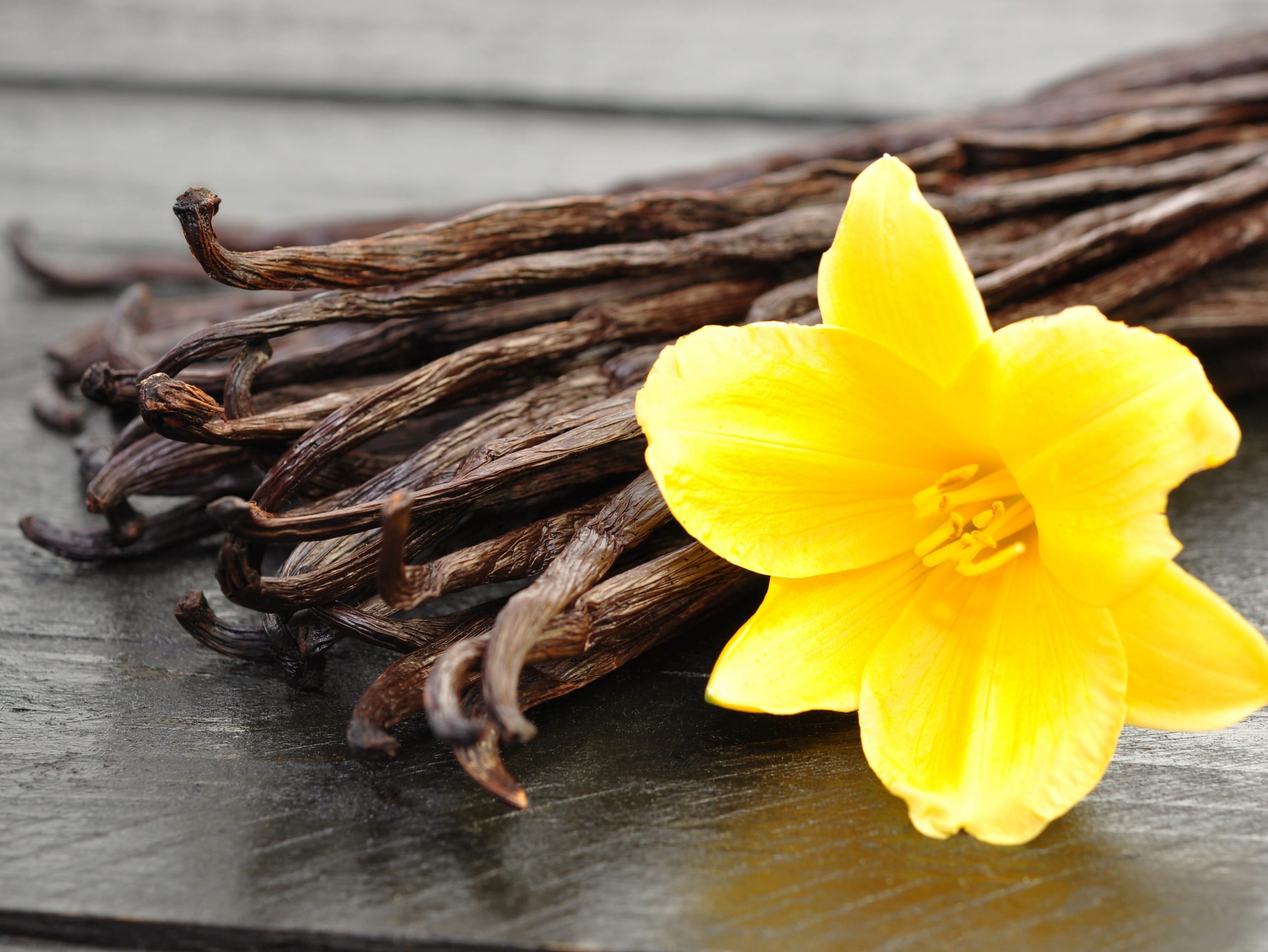 Circuit Découverte de l'Île de la Réunion - Les Voyages de Micheline